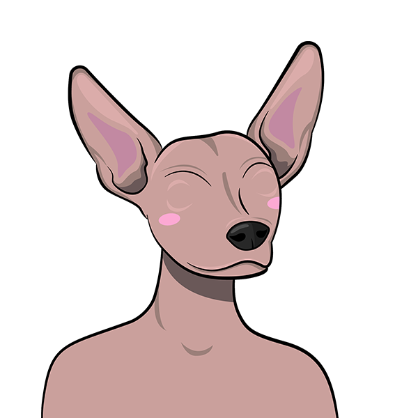 They Xolo - NFT Art Collection - Mexican NFT